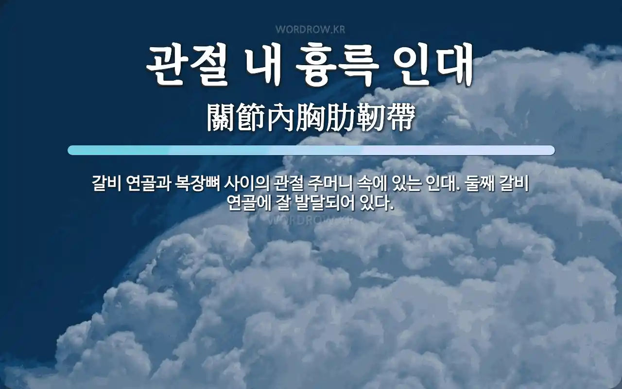 관절 내 흉륵 인대 뜻 갈비 연골과 복장뼈 사이의 관절 주머니 속에 있는 인대 둘째 갈비 연골에 잘 발달되어 있