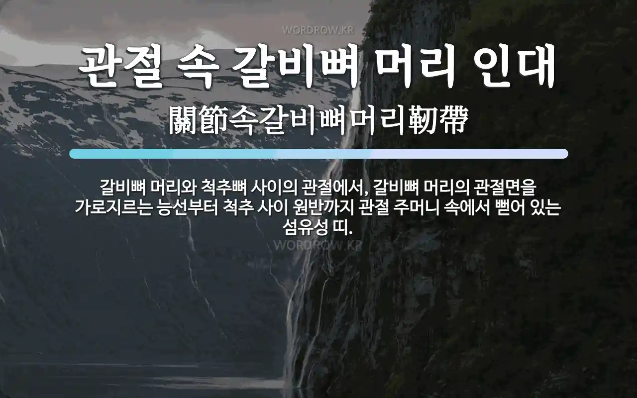 관절 속 갈비뼈 머리 인대 뜻 갈비뼈 머리와 척추뼈 사이의 관절에서 갈비뼈 머리의 관절면을 가로지르는 능선부터 척추 사
