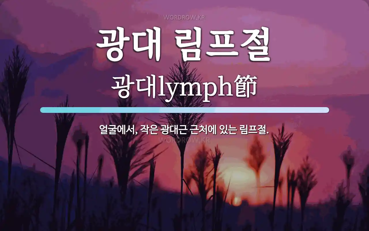 광대 림프절 뜻 얼굴에서 작은 광대근 근처에 있는 림프절