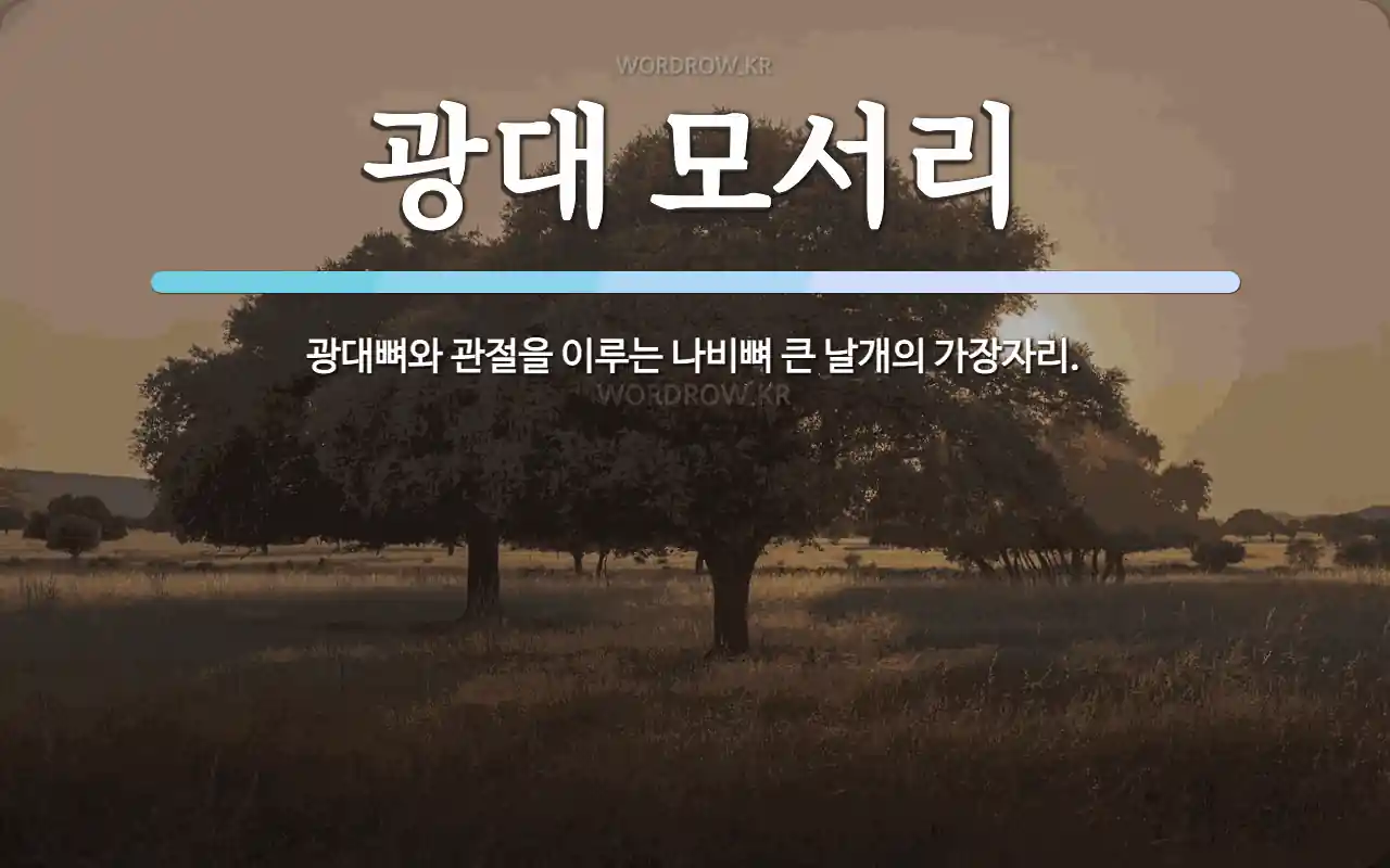 광대 모서리 뜻 광대뼈와 관절을 이루는 나비뼈 큰 날개의 가장자리
