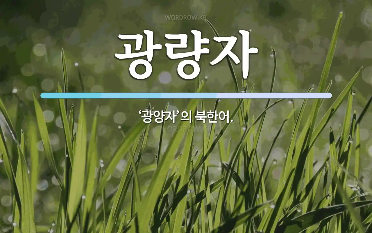 광량자 뜻 ‘광양자의 북한어