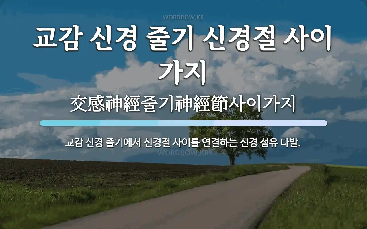 교감 신경 줄기 신경절 사이 가지 뜻 교감 신경 줄기에서 신경절 사이를 연결하는 신경 섬유 다발
