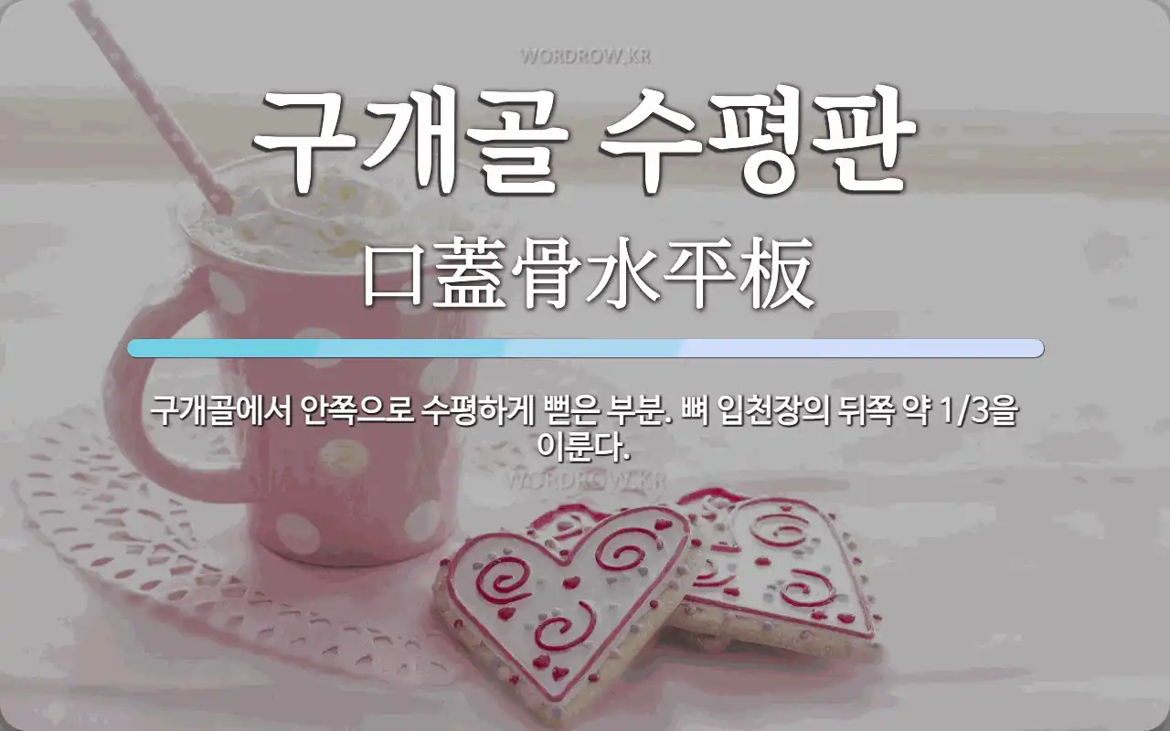 구개골 수평판 뜻 구개골에서 안쪽으로 수평하게 뻗은 부분 뼈 입천장의 뒤쪽 약 13을 이룬다