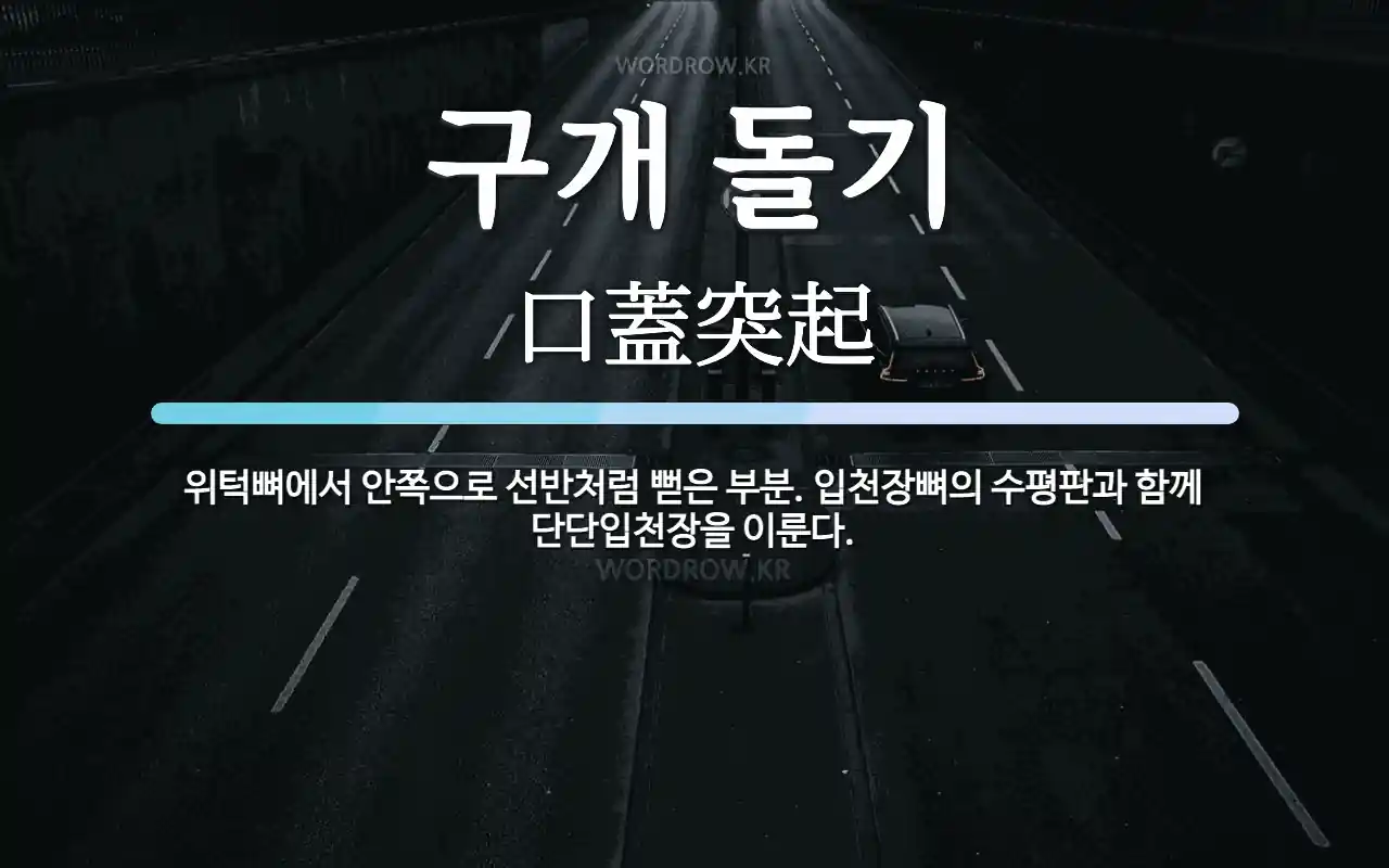 구개 돌기 뜻 위턱뼈에서 안쪽으로 선반처럼 뻗은 부분 입천장뼈의 수평판과 함께 단단입천장을 이룬다