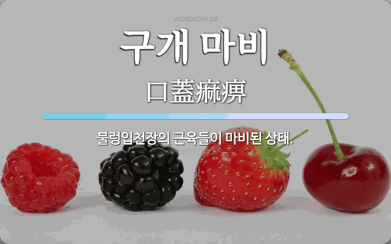 구개 마비 뜻 물렁입천장의 근육들이 마비된 상태