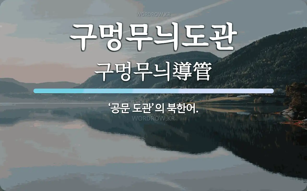 구멍무늬도관 뜻 ‘공문 도관의 북한어