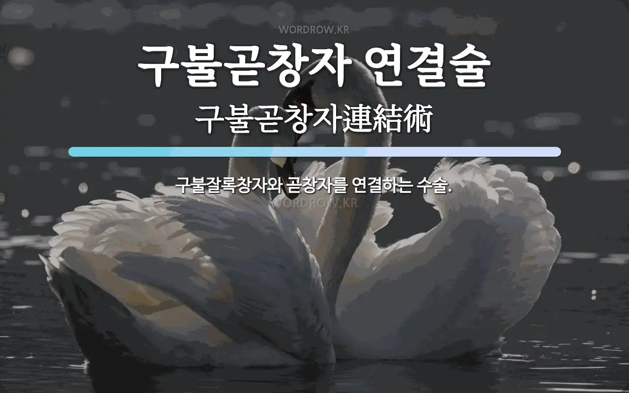 구불곧창자 연결술 뜻 구불잘록창자와 곧창자를 연결하는 수술