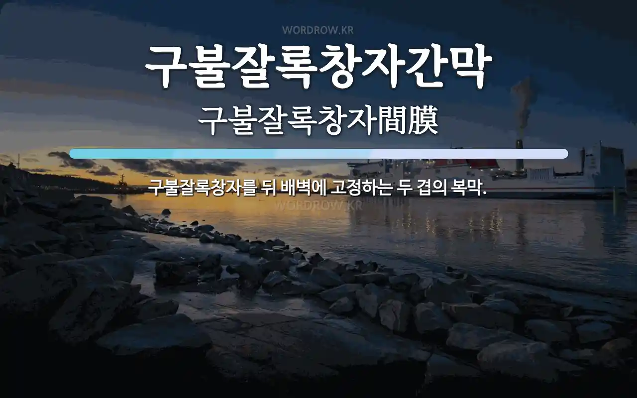 구불잘록창자간막 뜻 구불잘록창자를 뒤 배벽에 고정하는 두 겹의 복막