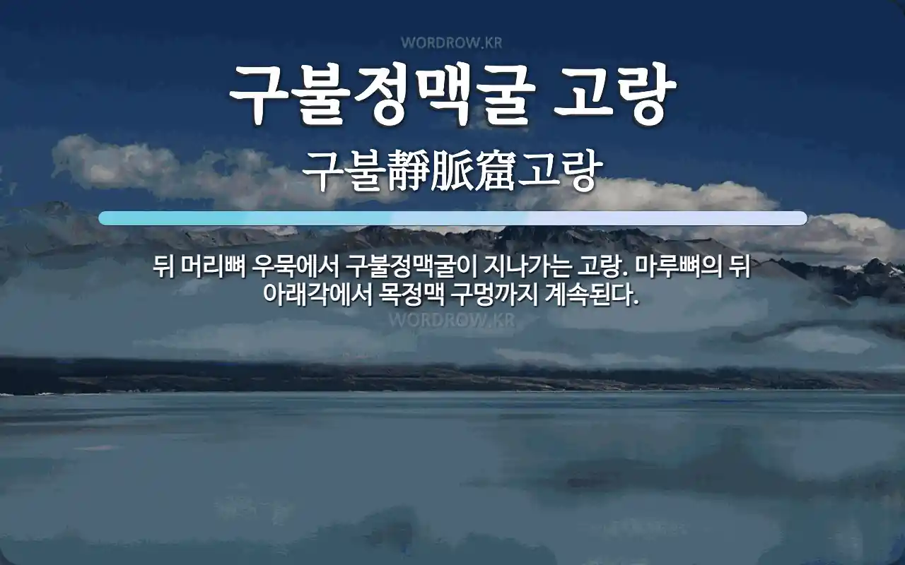 구불정맥굴 고랑 뜻 뒤 머리뼈 우묵에서 구불정맥굴이 지나가는 고랑 마루뼈의 뒤 아래각에서 목정맥 구멍까지 계