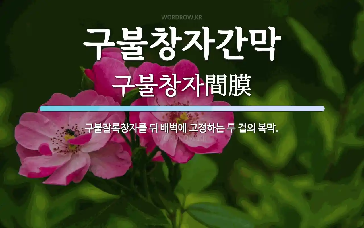 구불창자간막 뜻 구불잘록창자를 뒤 배벽에 고정하는 두 겹의 복막