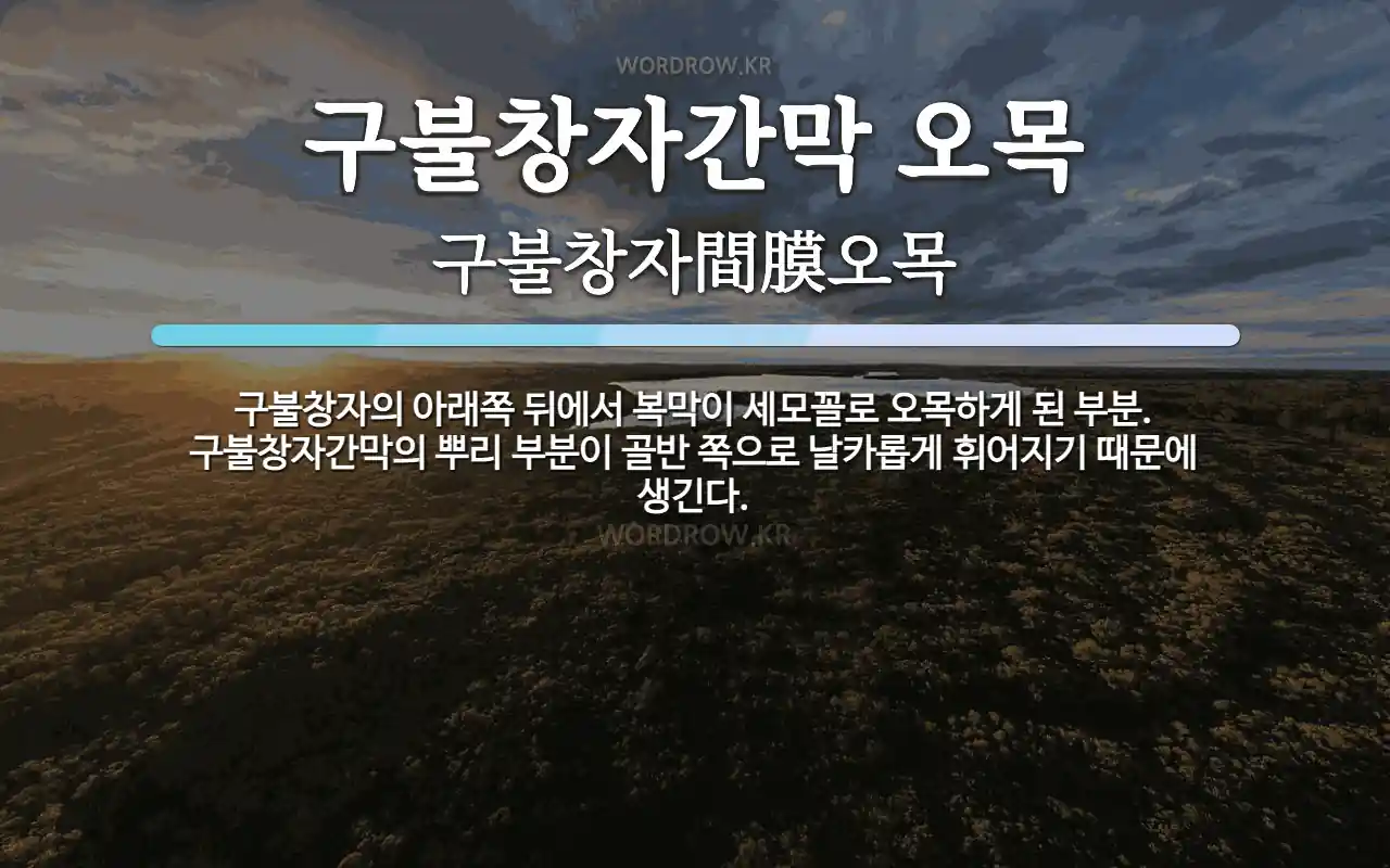 구불창자간막 오목 뜻 구불창자의 아래쪽 뒤에서 복막이 세모꼴로 오목하게 된 부분 구불창자간막의 뿌리 부분이 골