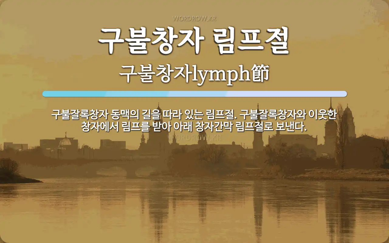 구불창자 림프절 뜻 구불잘록창자 동맥의 길을 따라 있는 림프절 구불잘록창자와 이웃한 창자에서 림프를 받아 아