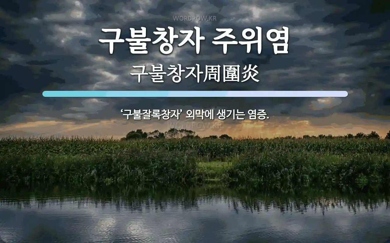 구불창자 주위염 뜻 ‘구불잘록창자 외막에 생기는 염증