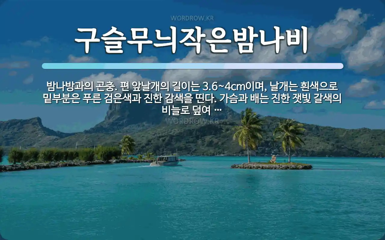 구슬무늬작은밤나비 뜻 밤나방과의 곤충 편 앞날개의 길이는 36~4cm이며 날개는 흰색으로 밑부분은 푸른 검
