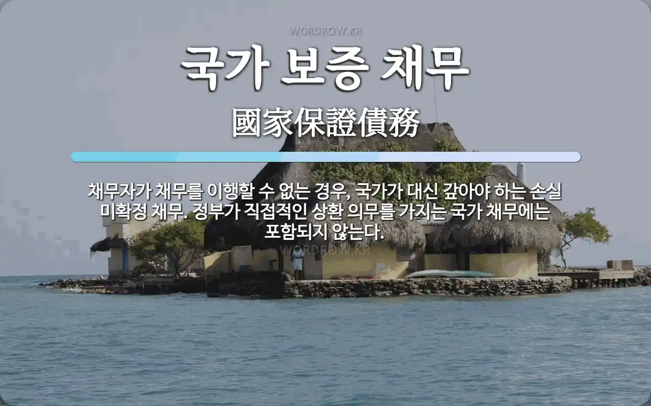 국가 보증 채무 뜻 채무자가 채무를 이행할 수 없는 경우 국가가 대신 갚아야 하는 손실 미확정 채무 정부가