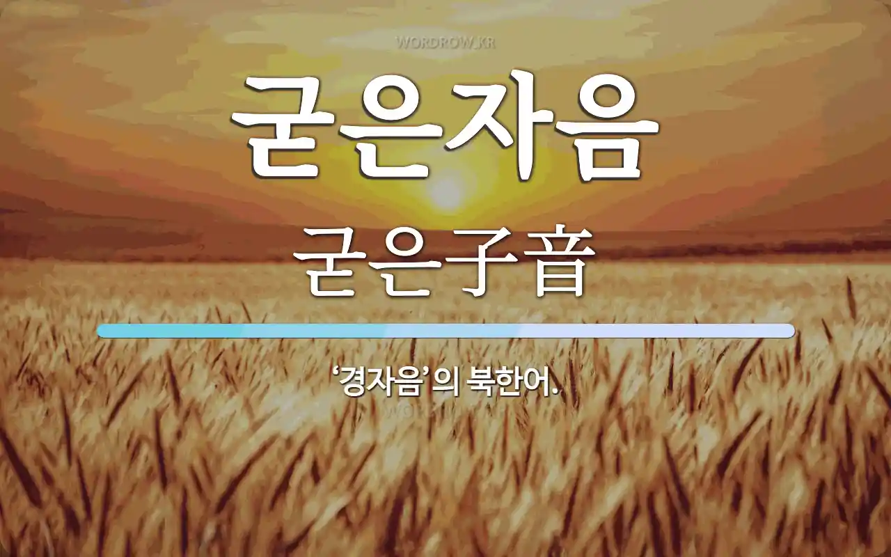 굳은자음 뜻 ‘경자음의 북한어