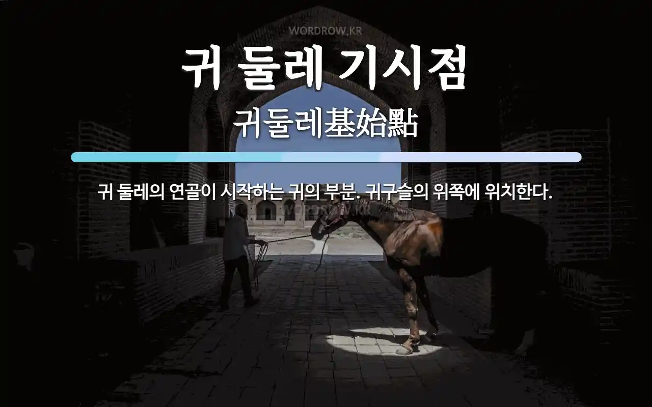 귀 둘레 기시점 뜻 귀 둘레의 연골이 시작하는 귀의 부분 귀구슬의 위쪽에 위치한다