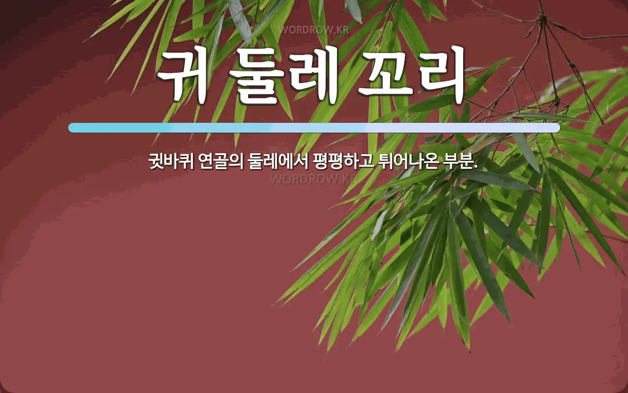 귀 둘레 꼬리 뜻 귓바퀴 연골의 둘레에서 평평하고 튀어나온 부분