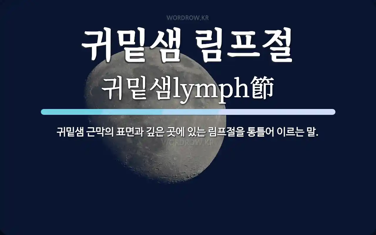 귀밑샘 림프절 뜻 귀밑샘 근막의 표면과 깊은 곳에 있는 림프절을 통틀어 이르는 말