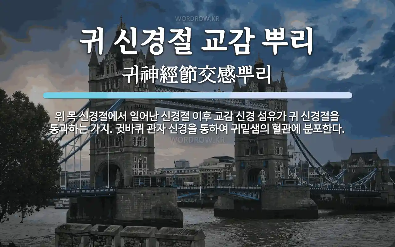 귀 신경절 교감 뿌리 뜻 위 목 신경절에서 일어난 신경절 이후 교감 신경 섬유가 귀 신경절을 통과하는 가지 귓바퀴