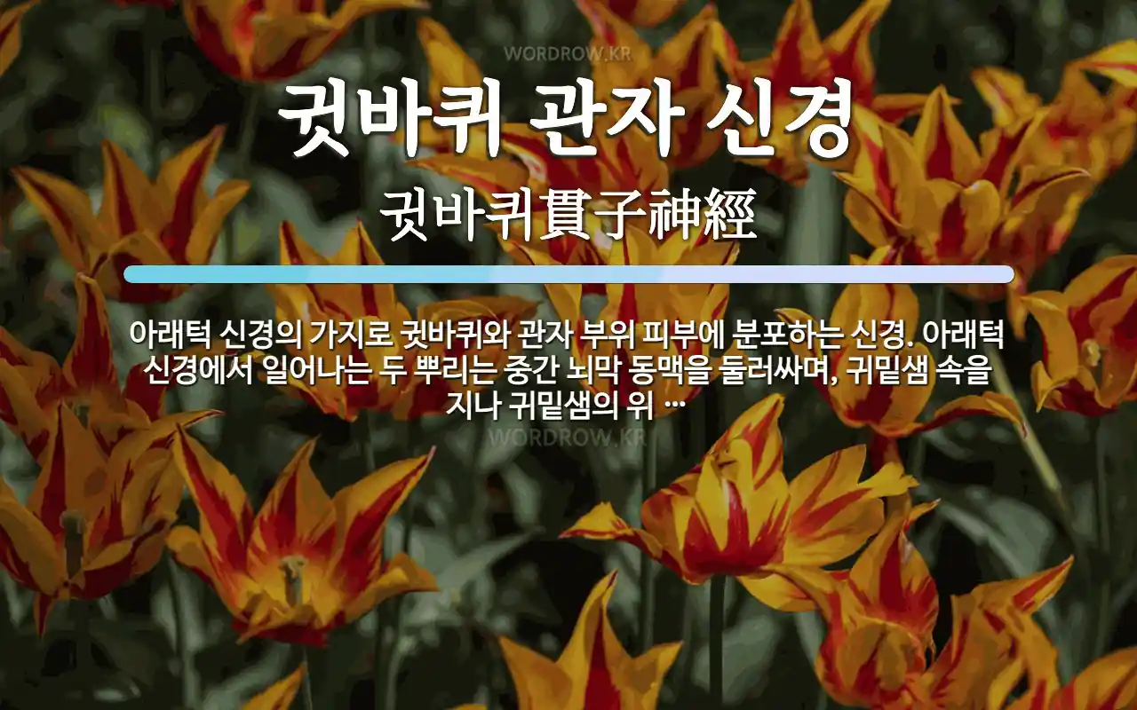 귓바퀴 관자 신경 뜻 아래턱 신경의 가지로 귓바퀴와 관자 부위 피부에 분포하는 신경 아래턱 신경에서 일어나는