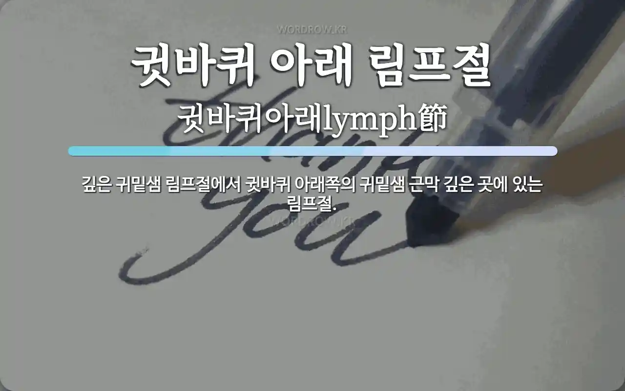 귓바퀴 아래 림프절 뜻 깊은 귀밑샘 림프절에서 귓바퀴 아래쪽의 귀밑샘 근막 깊은 곳에 있는 림프절