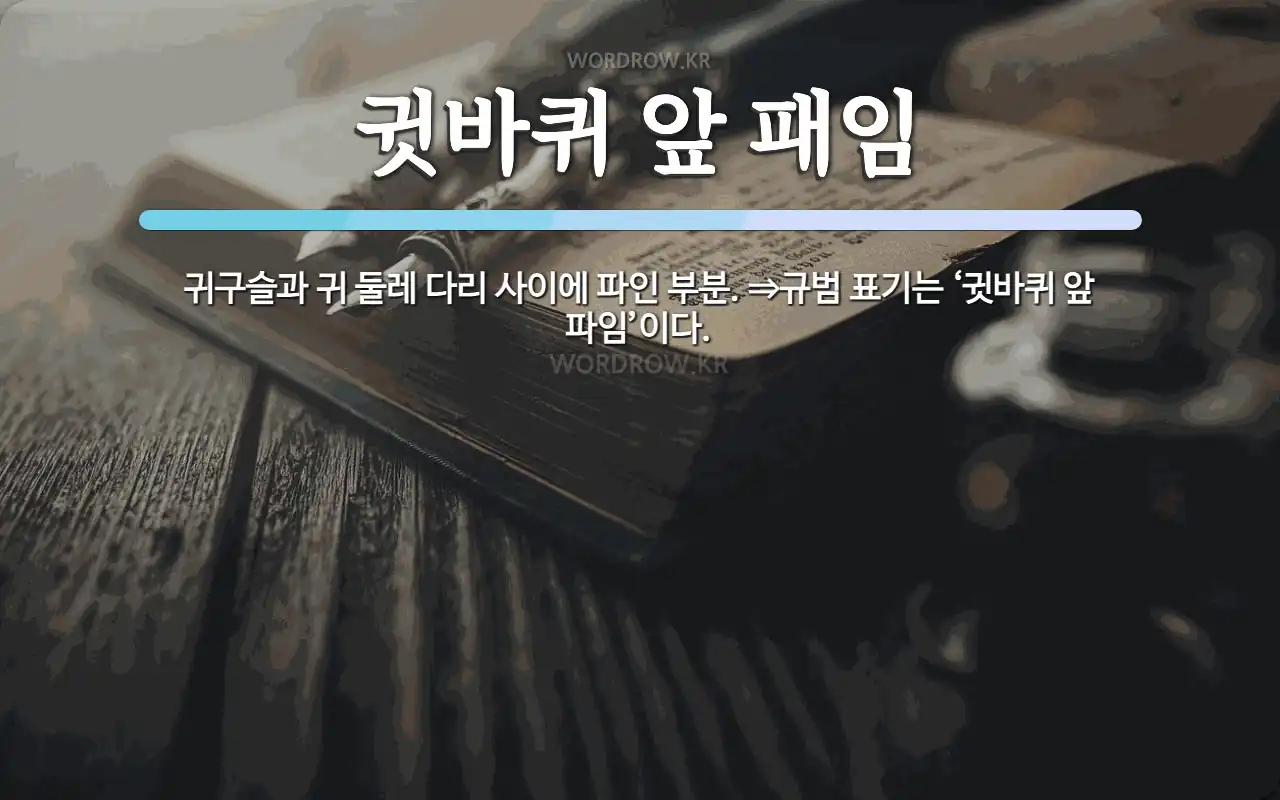 귓바퀴 앞 패임 뜻 귀구슬과 귀 둘레 다리 사이에 파인 부분 ⇒규범 표기는 ‘귓바퀴 앞 파임이다