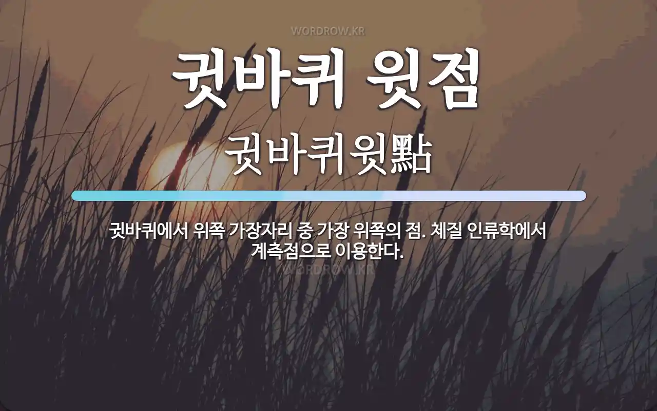 귓바퀴 윗점 뜻 귓바퀴에서 위쪽 가장자리 중 가장 위쪽의 점 체질 인류학에서 계측점으로 이용한다