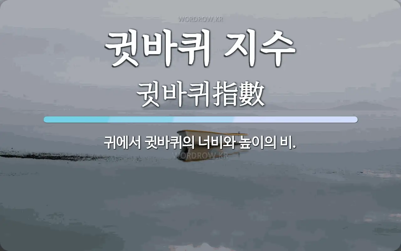 귓바퀴 지수 뜻 귀에서 귓바퀴의 너비와 높이의 비