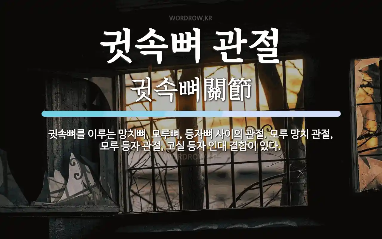 귓속뼈 관절 뜻 귓속뼈를 이루는 망치뼈 모루뼈 등자뼈 사이의 관절 모루 망치 관절 모루 등자 관절
