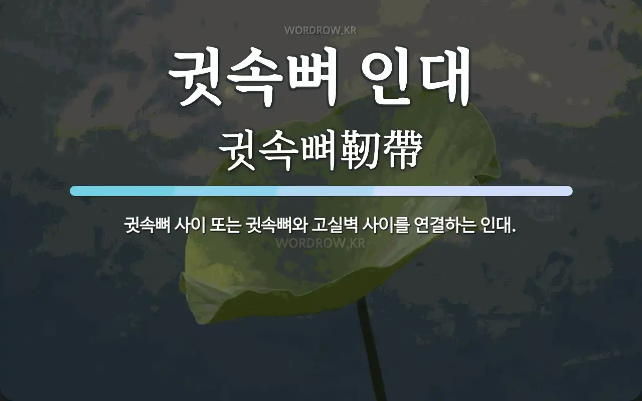 귓속뼈 인대 뜻 귓속뼈 사이 또는 귓속뼈와 고실벽 사이를 연결하는 인대