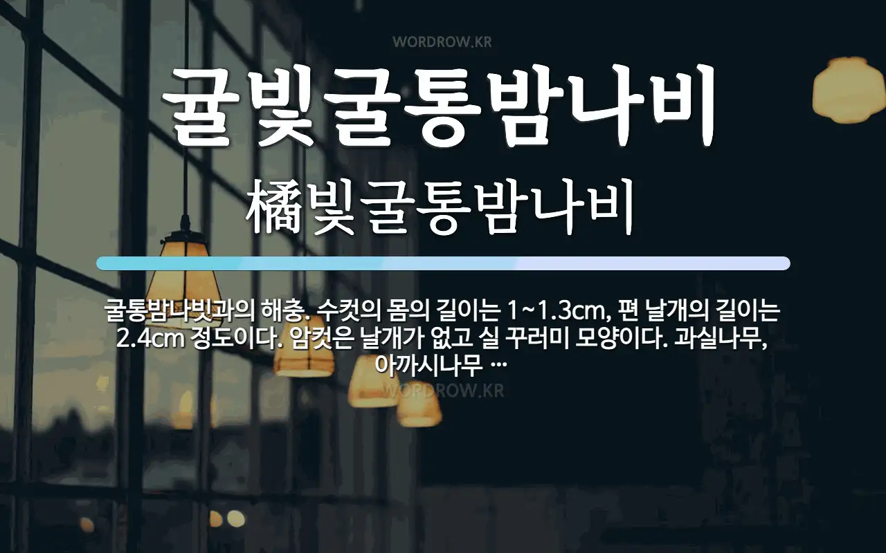 귤빛굴통밤나비 뜻 굴통밤나빗과의 해충 수컷의 몸의 길이는 1~13cm 편 날개의 길이는 24cm 정도