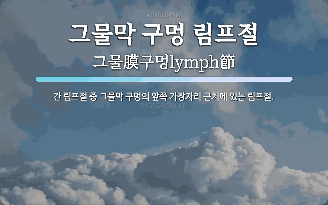 그물막 구멍 림프절 뜻 간 림프절 중 그물막 구멍의 앞쪽 가장자리 근처에 있는 림프절