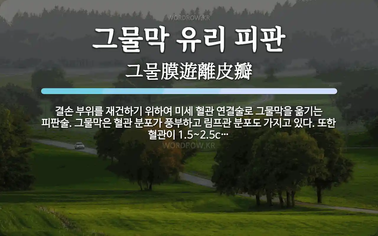 그물막 유리 피판 뜻 결손 부위를 재건하기 위하여 미세 혈관 연결술로 그물막을 옮기는 피판술 그물막은 혈관 분