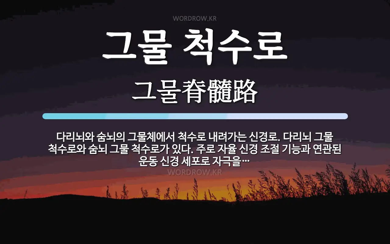 그물 척수로 뜻 다리뇌와 숨뇌의 그물체에서 척수로 내려가는 신경로 다리뇌 그물 척수로와 숨뇌 그물 척수로