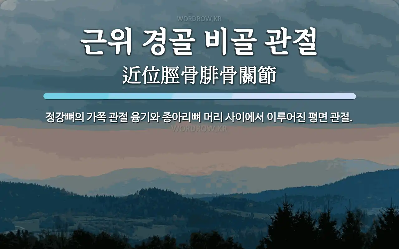 근위 경골 비골 관절 뜻 정강뼈의 가쪽 관절 융기와 종아리뼈 머리 사이에서 이루어진 평면 관절