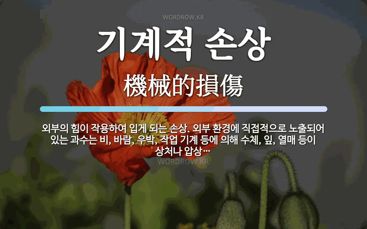 기계적 손상 뜻 외부의 힘이 작용하여 입게 되는 손상 외부 환경에 직접적으로 노출되어 있는 과수는 비