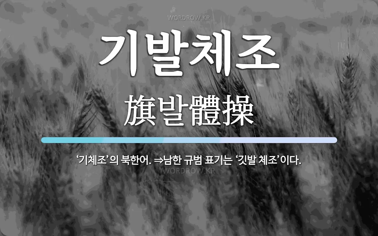 기발체조 뜻 ‘기체조의 북한어 ⇒남한 규범 표기는 ‘깃발 체조이다