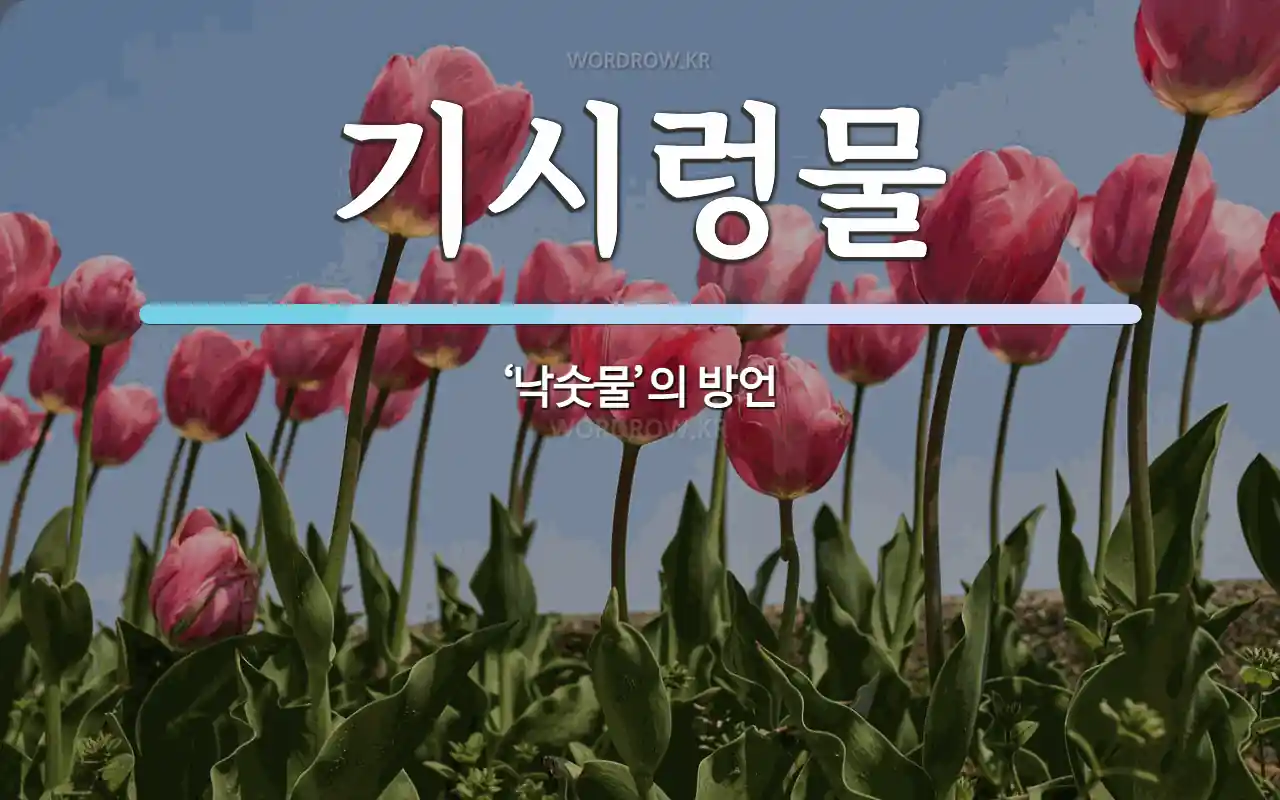 기시렁물 뜻 ‘낙숫물의 방언
