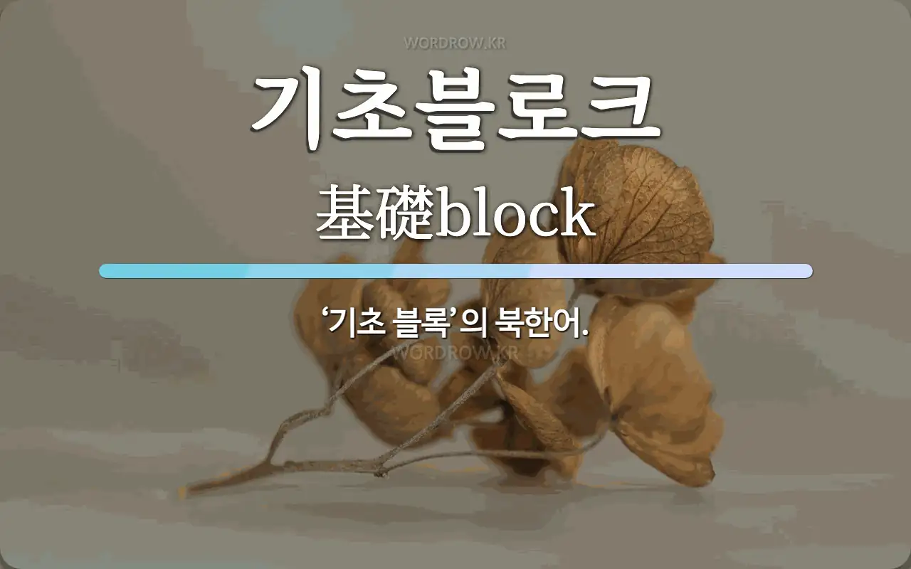 기초블로크 뜻 ‘기초 블록의 북한어