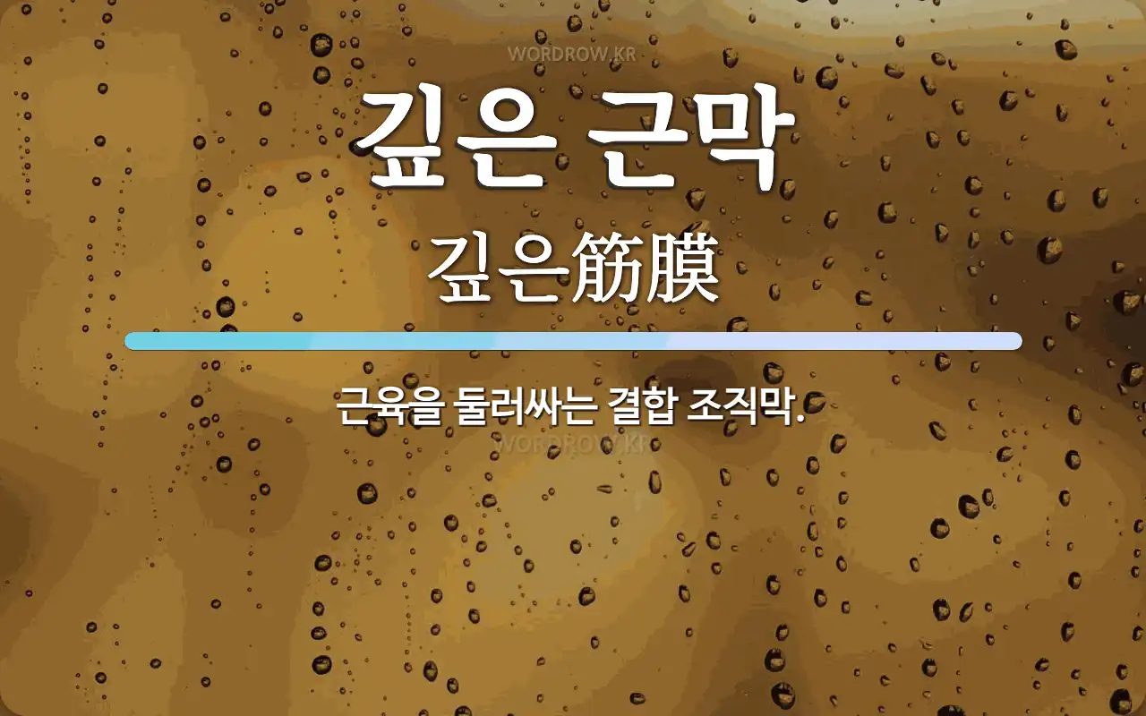 깊은 근막 뜻 근육을 둘러싸는 결합 조직막