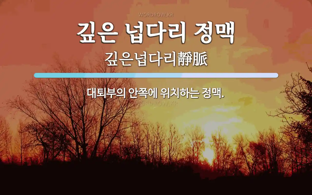 깊은 넙다리 정맥 뜻 대퇴부의 안쪽에 위치하는 정맥