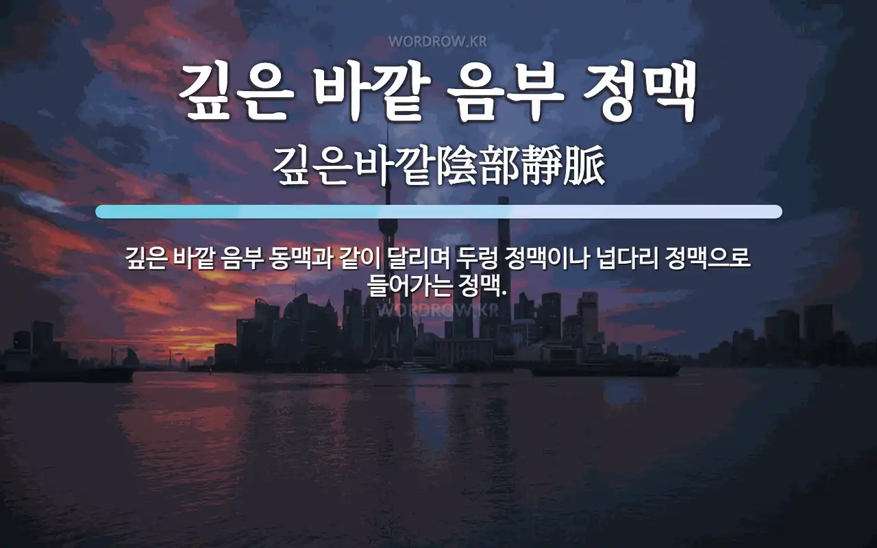 깊은 바깥 음부 정맥 뜻 깊은 바깥 음부 동맥과 같이 달리며 두렁 정맥이나 넙다리 정맥으로 들어가는 정맥