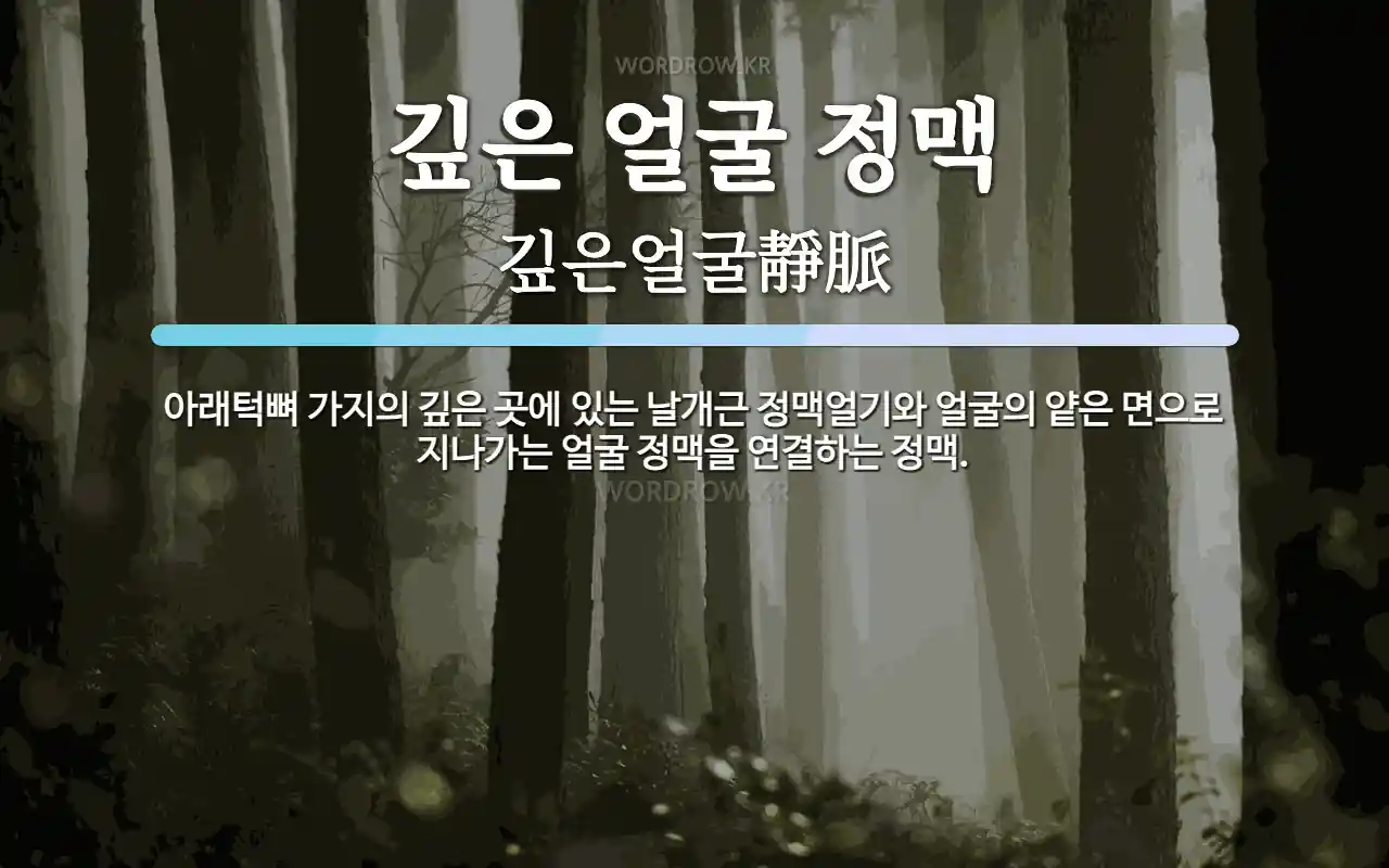 깊은 얼굴 정맥 뜻 아래턱뼈 가지의 깊은 곳에 있는 날개근 정맥얼기와 얼굴의 얕은 면으로 지나가는 얼굴 정맥을