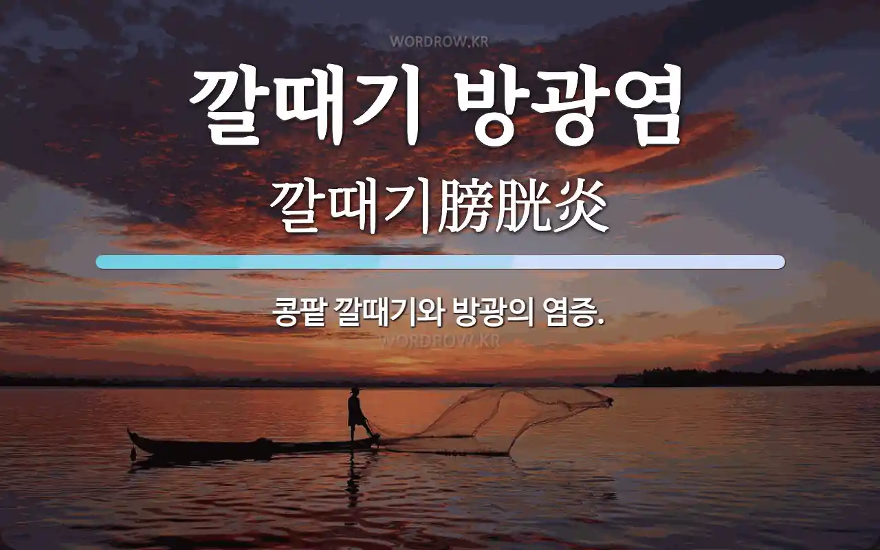 깔때기 방광염 뜻 콩팥 깔때기와 방광의 염증