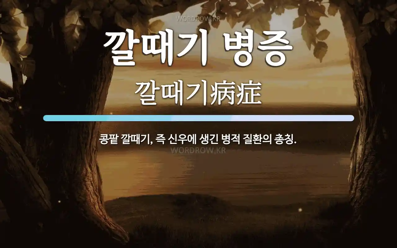 깔때기 병증 뜻 콩팥 깔때기 즉 신우에 생긴 병적 질환의 총칭