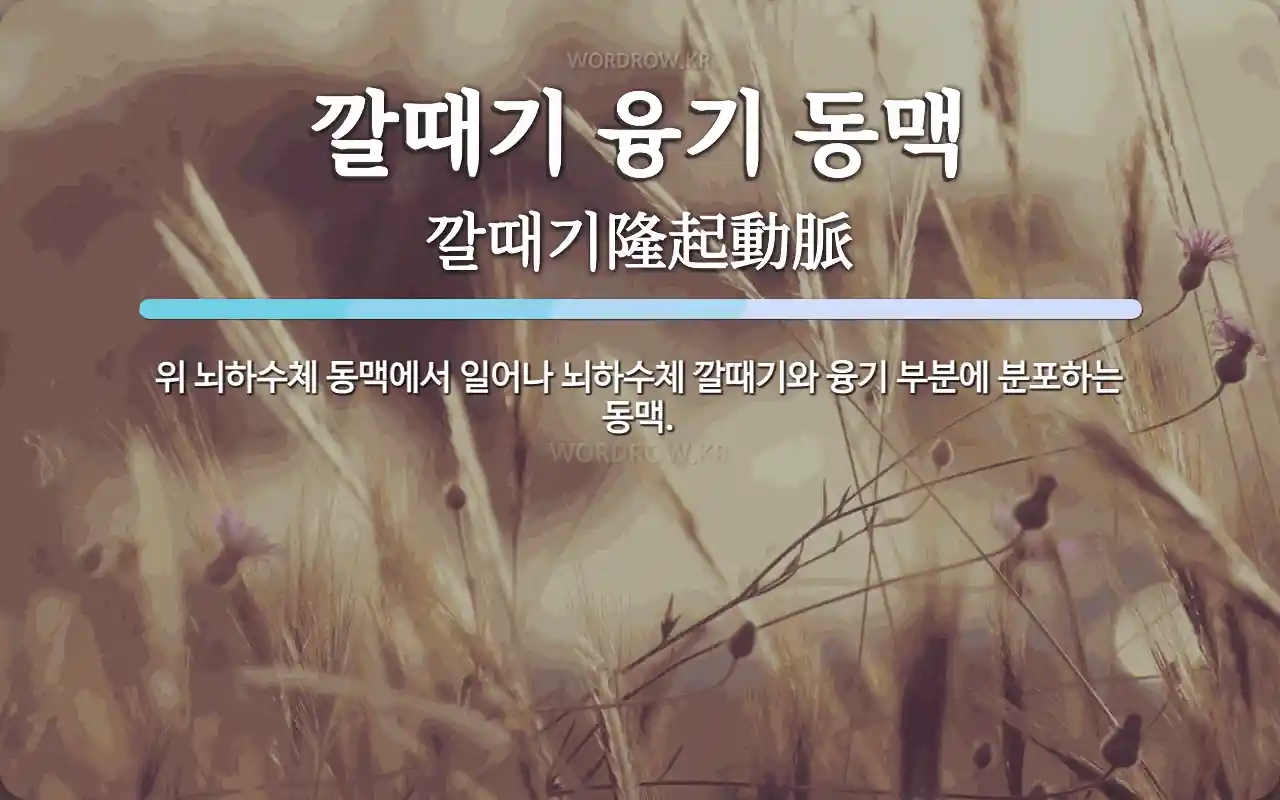 깔때기 융기 동맥 뜻 위 뇌하수체 동맥에서 일어나 뇌하수체 깔때기와 융기 부분에 분포하는 동맥