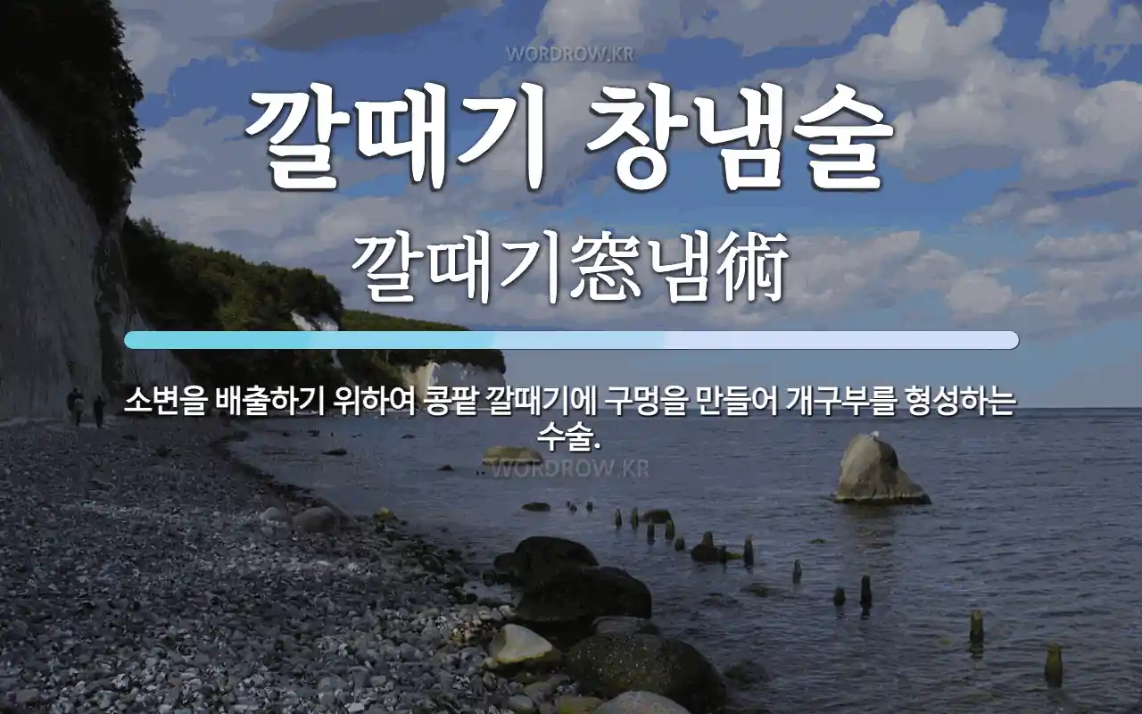 깔때기 창냄술 뜻 소변을 배출하기 위하여 콩팥 깔때기에 구멍을 만들어 개구부를 형성하는 수술