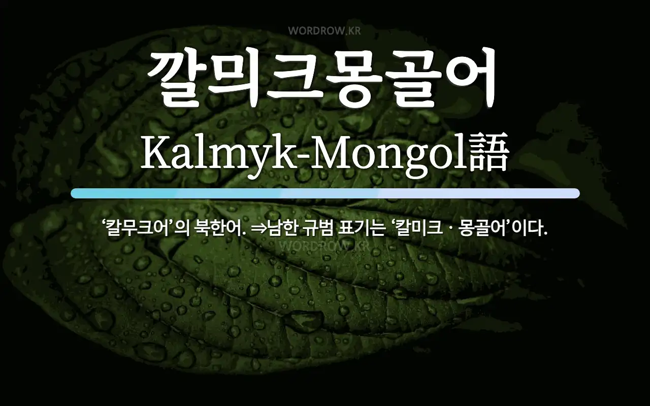 깔믜크몽골어 뜻 ‘칼무크어의 북한어 ⇒남한 규범 표기는 ‘칼미크ㆍ몽골어이다