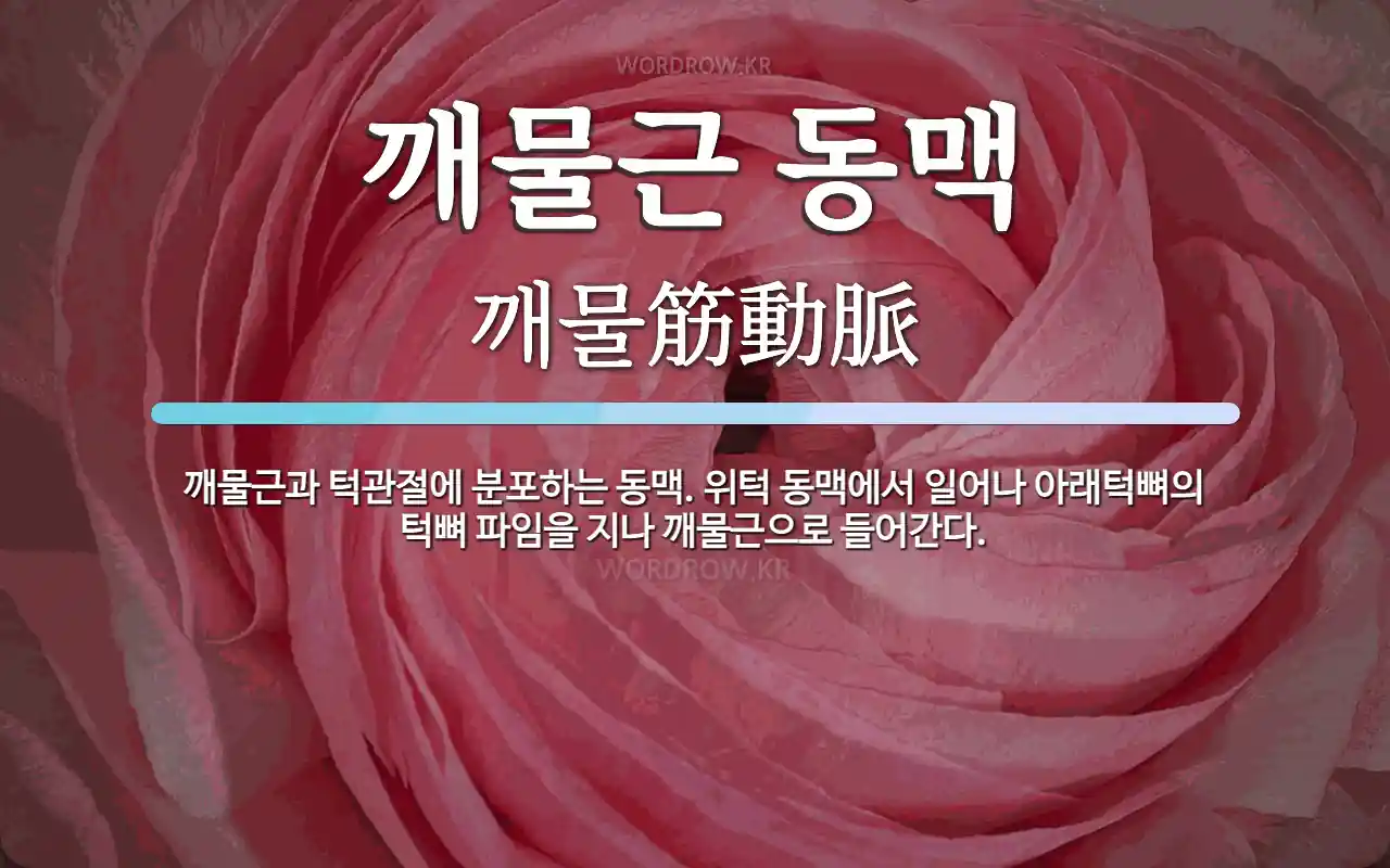 깨물근 동맥 뜻 깨물근과 턱관절에 분포하는 동맥 위턱 동맥에서 일어나 아래턱뼈의 턱뼈 파임을 지나 깨물근
